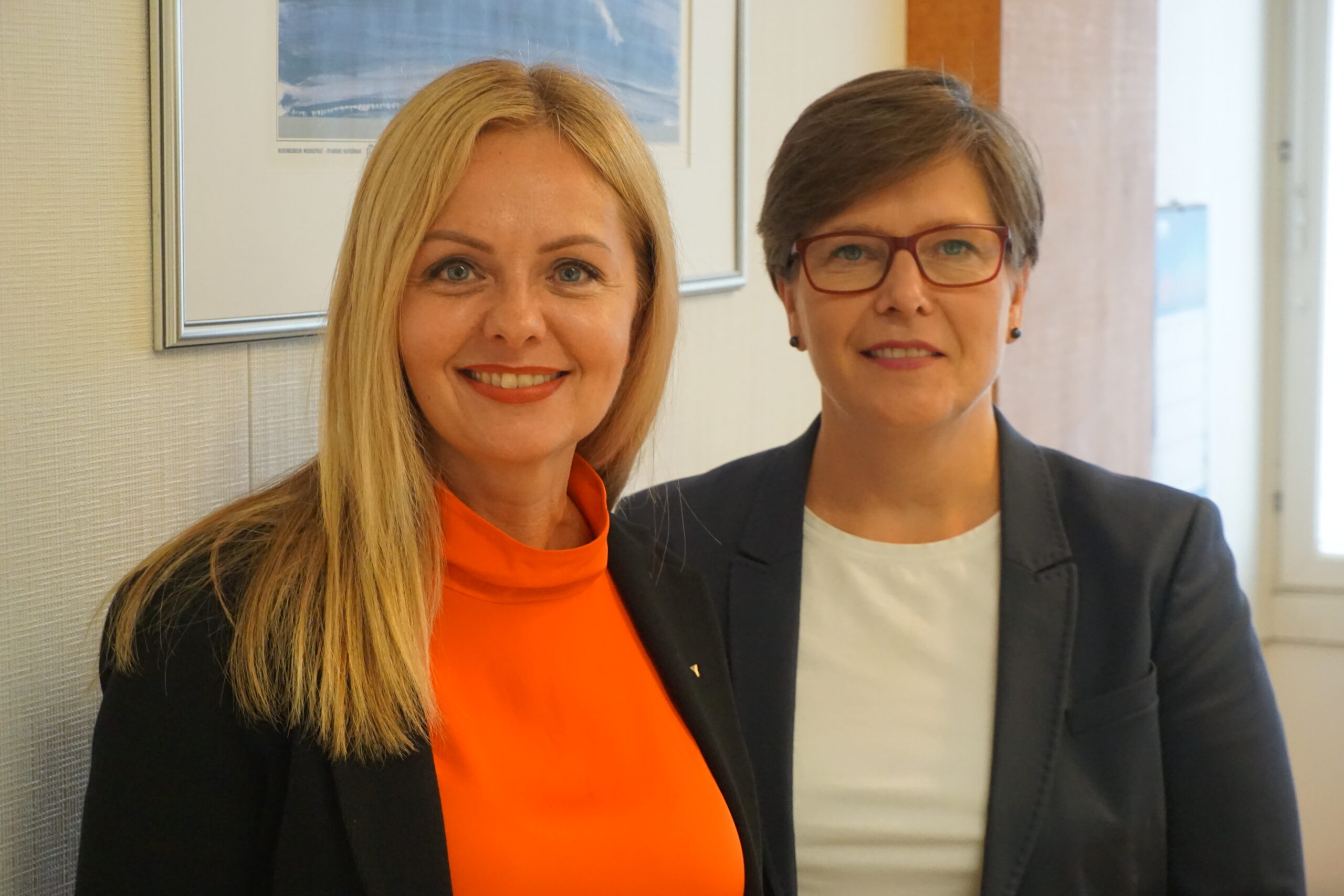 Pohjanmaan hyvinvointialue - uhka vai mahdollisuus vaasalaisille ...