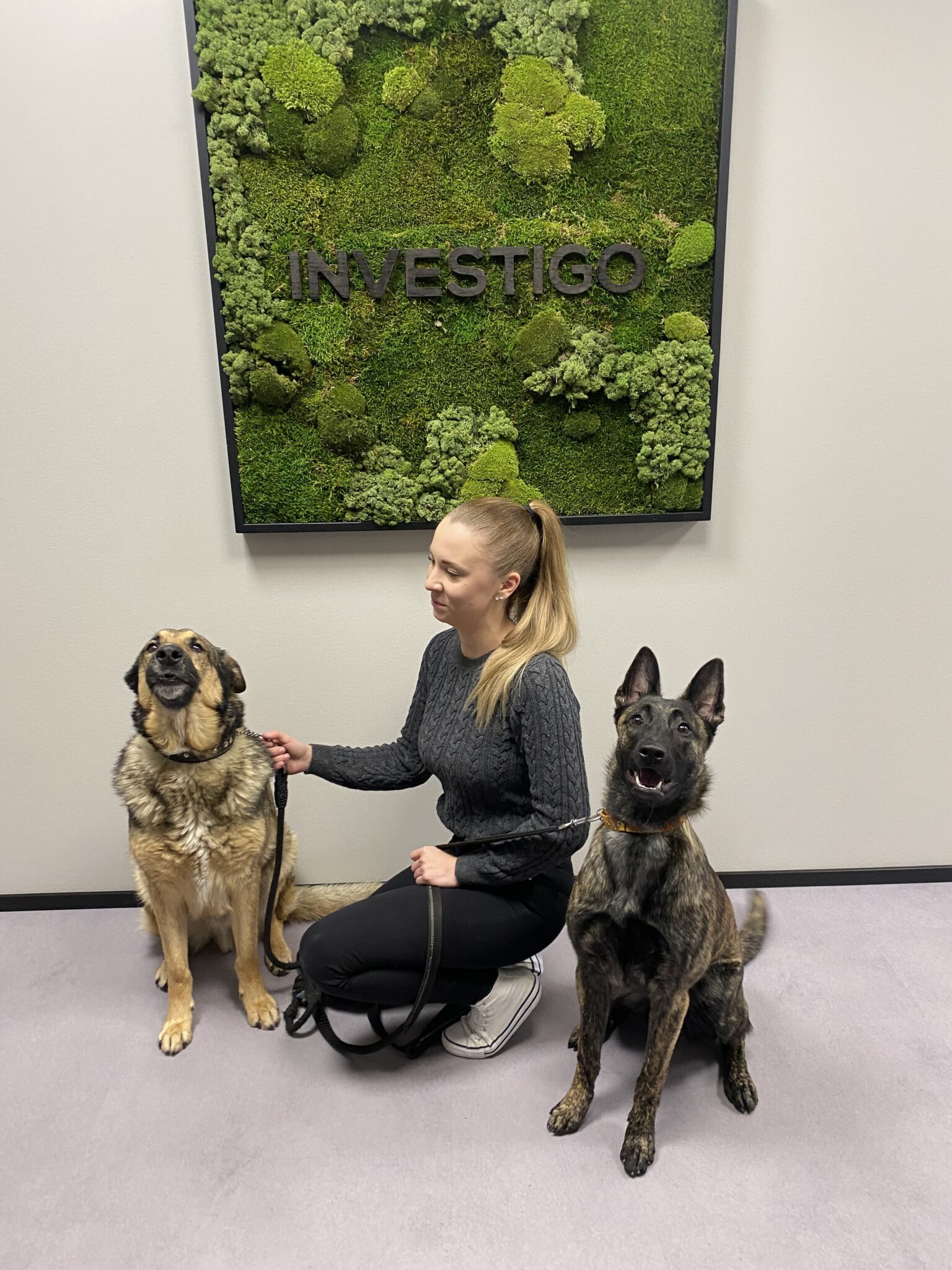 Investigo växer kraftigt - Vasaföretaget får nu även ett par ...